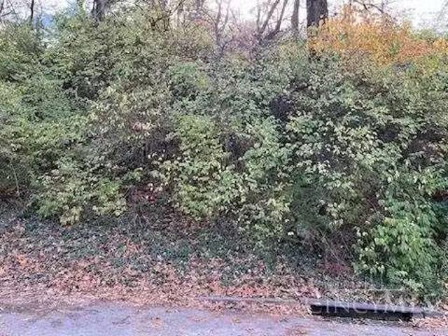 521 Tafel Street, Cincinnati, OH 45225 646583834