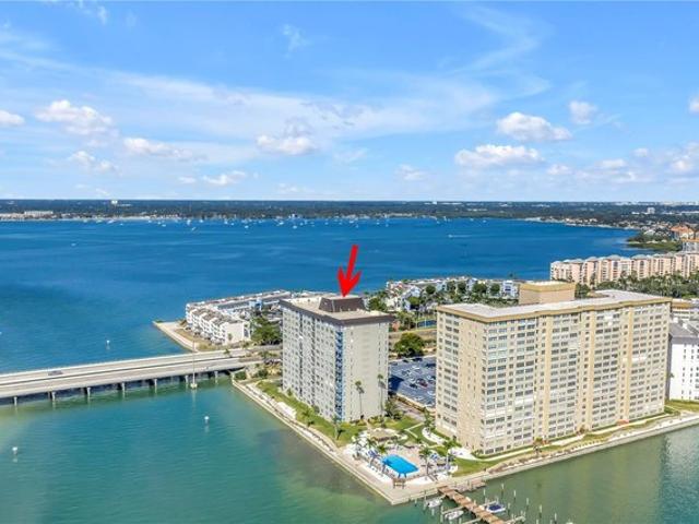 5220 Brittany Dr S Apt 1204, Saint Petersburg, FL 33715