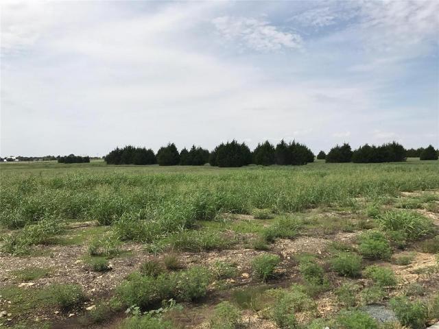 5221 Bravo Rd, Midlothian, TX 76065 | MLS #20313