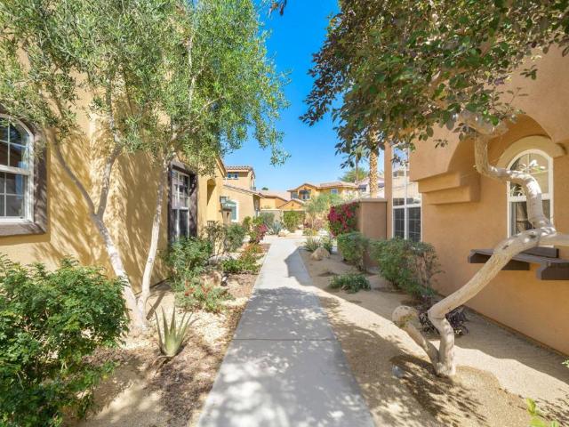 52230 Desert Spoon Court