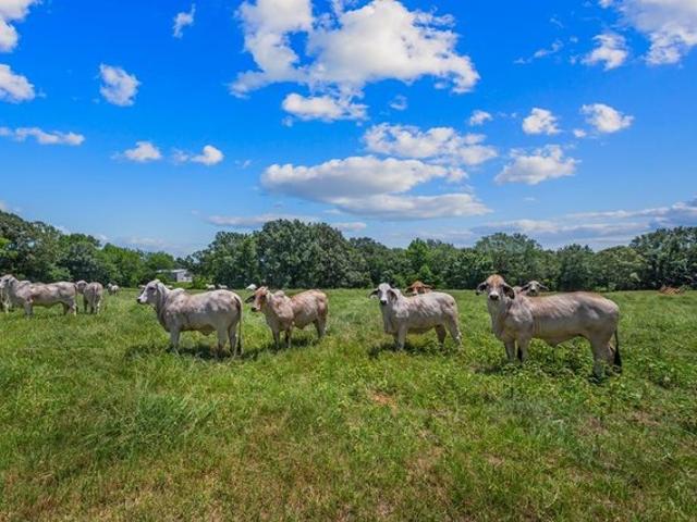 522 County Road 2717, Alto, TX 75925