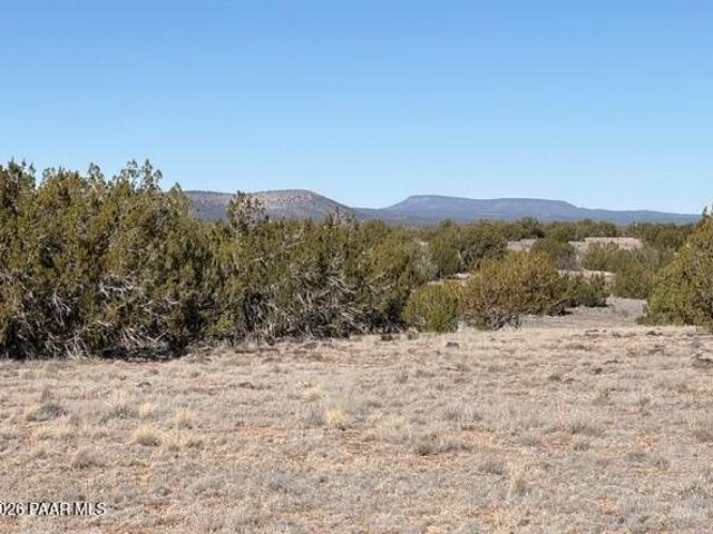 522 N Deer Camp Trl, Seligman, AZ 86337