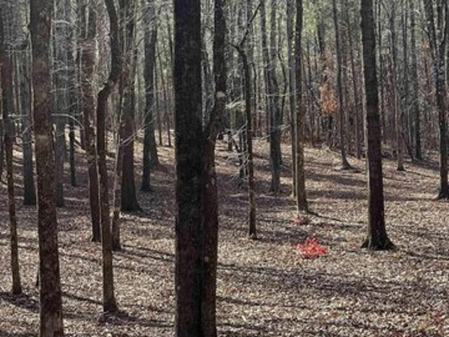 522 Ronbar Rd Lot 0, Columbiana, AL 35051