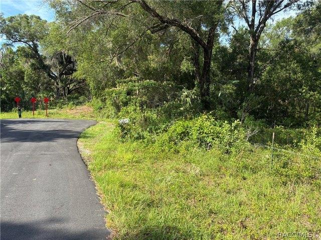 5236 N Oldwood Pt, Hernando, FL 34442