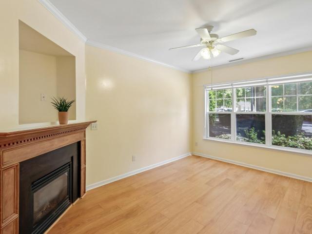 523 Elm Avenue