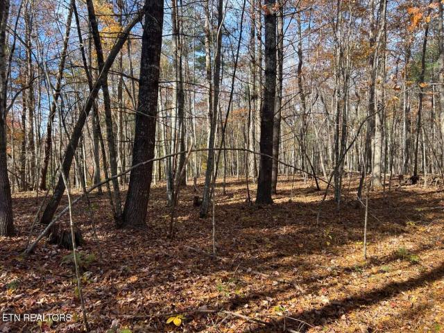 523 Honey Creek Loop Rd