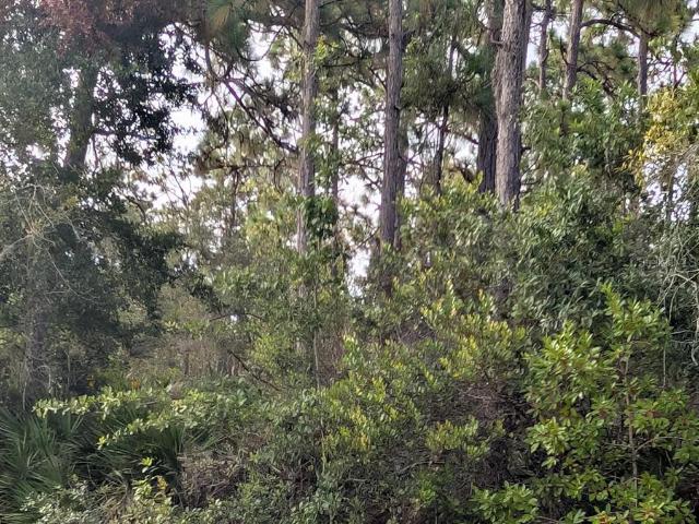 523 Ixora Dr, Indian Lake Estates, FL 33898 | MLS #TB8414