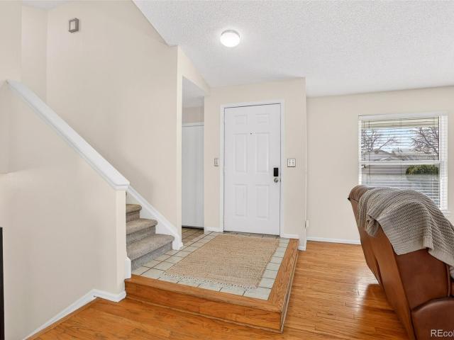 523 Timberline Place