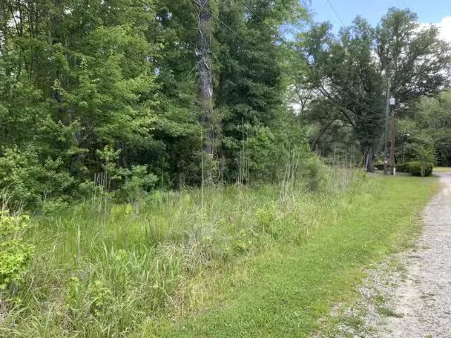 5245 Charlie Rd, Hollywood, SC 29449 MLS 23012247
