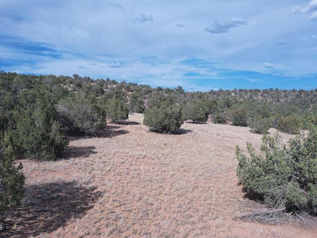 52471 N Camino Gato, Seligman, AZ 86337 | MLS #1042 | Compass