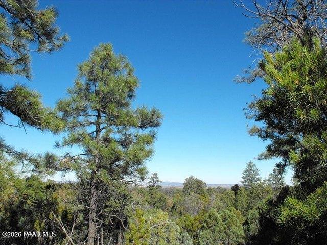 5247 Sunset Ridge Loop, Happy Jack, AZ 86024