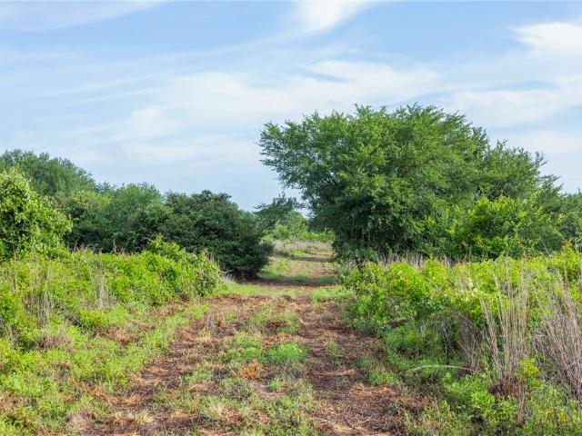 5241 County Road 358