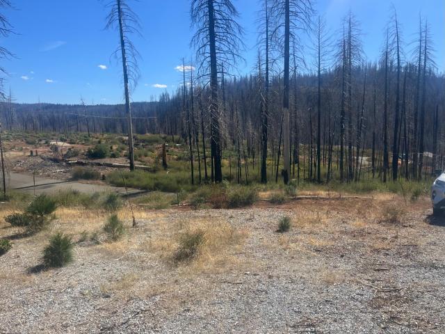 5241 Golden Aspen Dr, Grizzly Flats, CA 95636 | MLS #225131