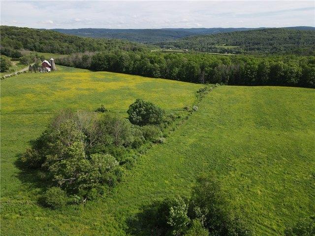 5243 Reed Rd, Friendship, NY 14739