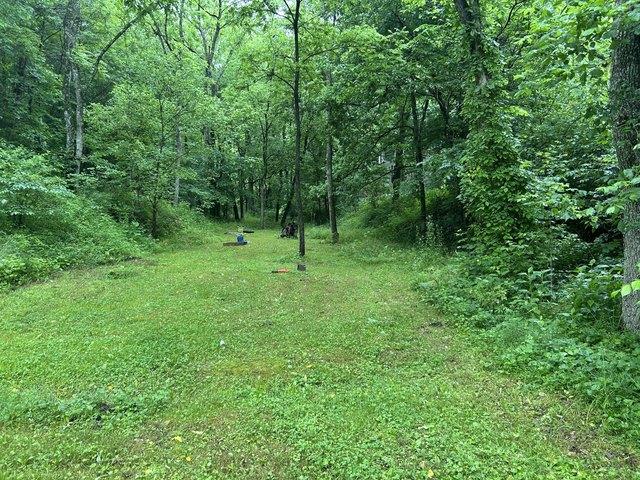 524 Barger Hollow Rd, Parrottsville, TN 37843