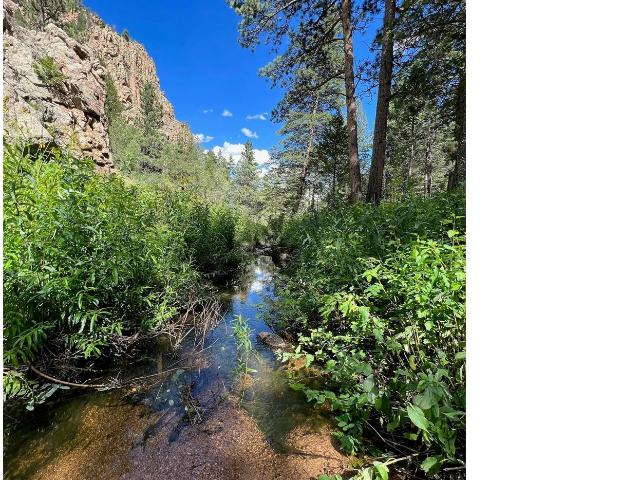 524 Jackelope Lane