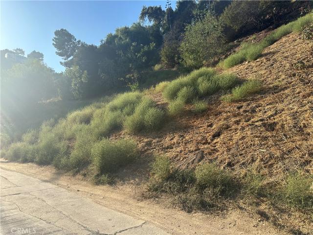 524 Rustic Dr, Los Angeles, CA 90065 | MLS #WS26001 | Compass