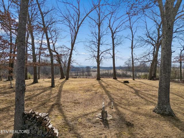 524 Willie Jarvis Rd