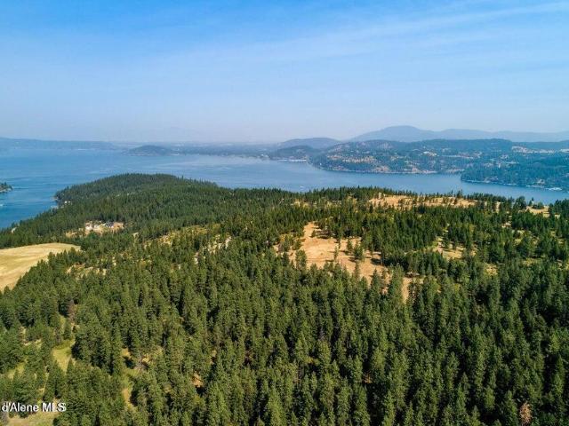 5254 E Mabel Ln, Harrison, ID 83833 | MLS #26 1974