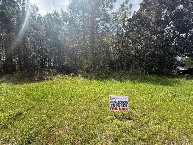 5254 FM 2798, Livingston, TX 77351