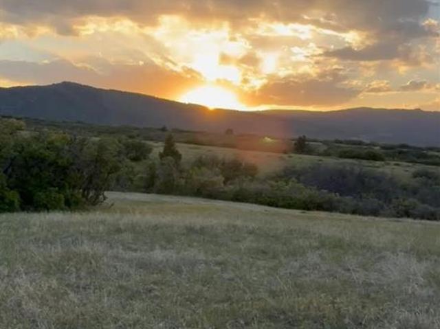 5250 Tall Horse Trail
