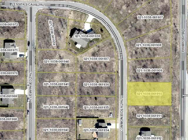 52516 Common Eider Trl Lot 204, South Bend, IN 46628