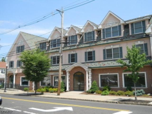 525 Central Ave, Apt 302, Westfield Town, US, NJ
