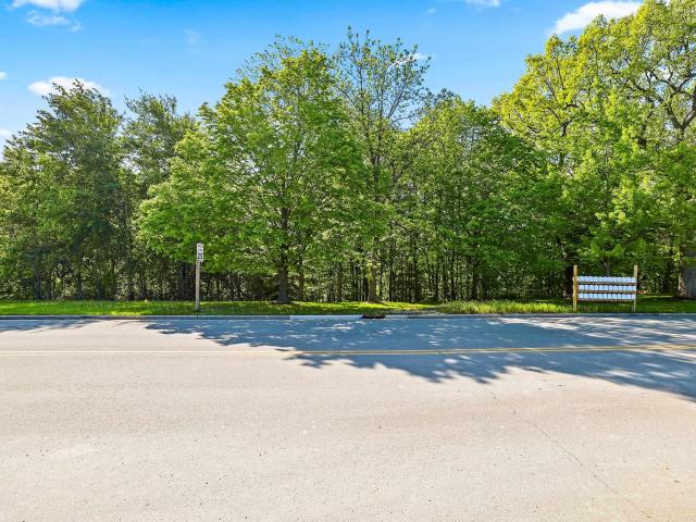 525 buchanan road