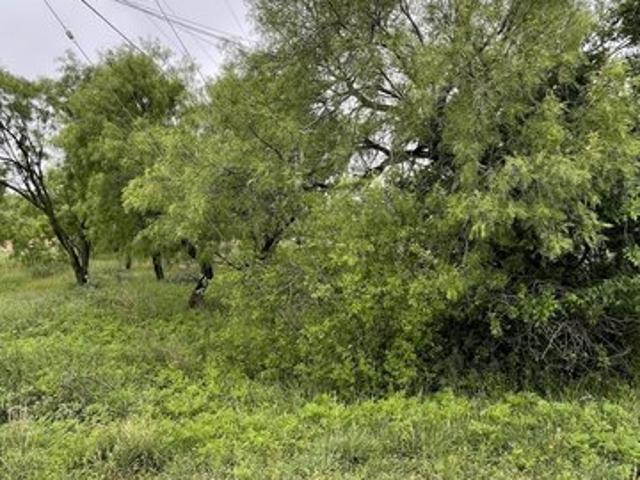 525 Lake View Heroes Dr Lot 5, San Angelo, TX 76903