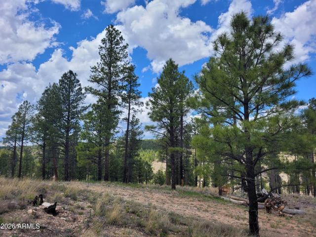 525 MOQUI Drive # 6