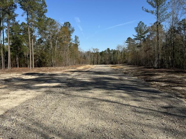 525 Nicely Way, Whispering Pines, NC 28327 | MLS #100552