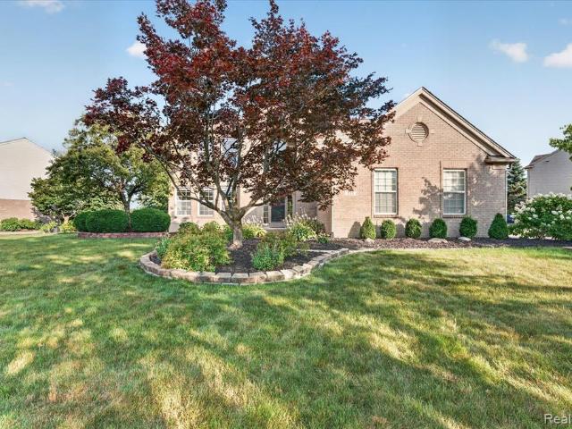 525 Springfield Drive