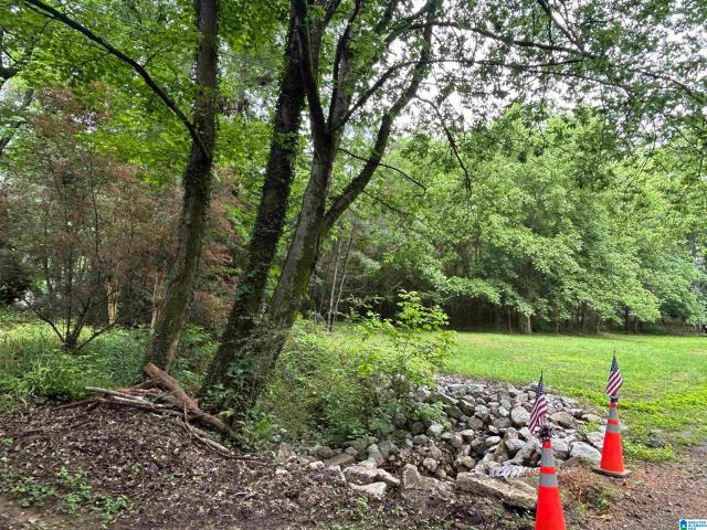 525 Poplar Lane # 1 Acre