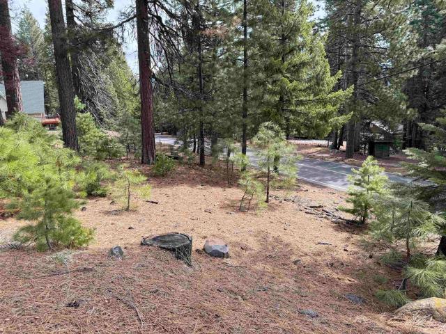 525 Peninsula Dr, Lake Almanor, CA 96137 | MLS #20250