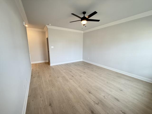 525 Rohan Drive