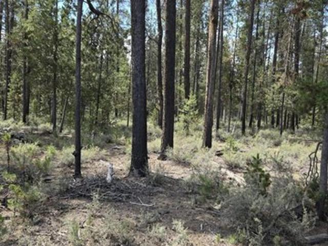 52650 Ranch Dr, La Pine, OR 97739