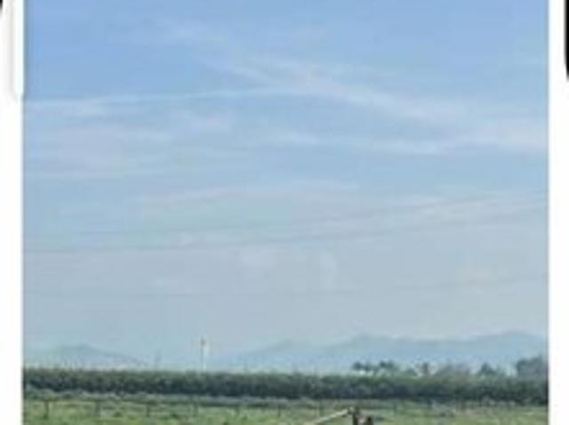 5265 S Crawford Ave, Reedley, CA 93654