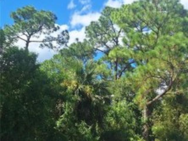 526 Osage Ave S, Lehigh Acres, FL 33974