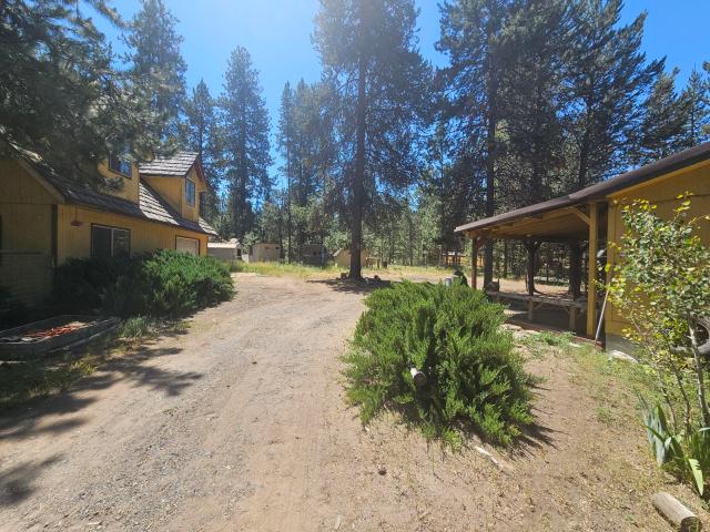 52756 Golden Astor Road