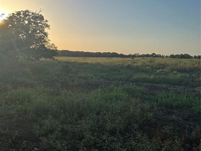 527 County Road 3351, Saltillo, TX 75478 | MLS #21157