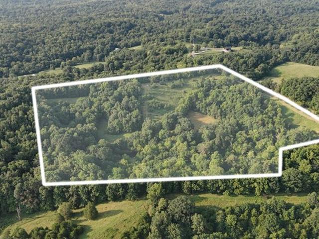 527 S Dividing Ridge Rd, Sadieville, KY 40370