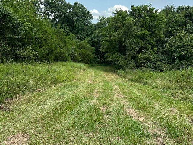 527 S Dividing Ridge Road