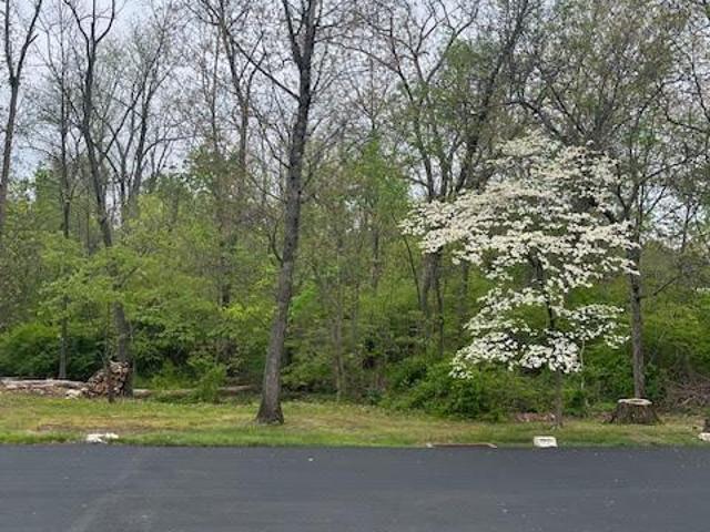 527 Ramblewood Lane