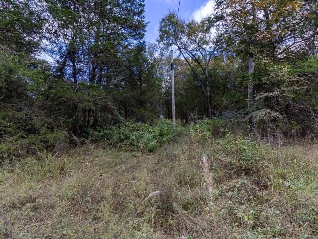 527 Thompson Bay Road