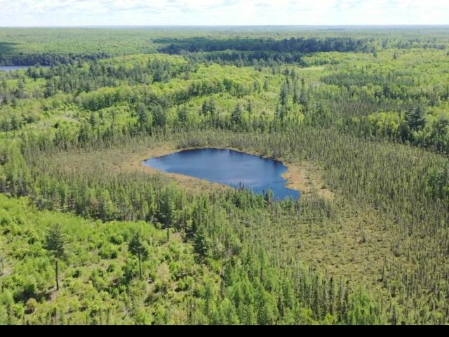 527 USFS RD 2130 Road
