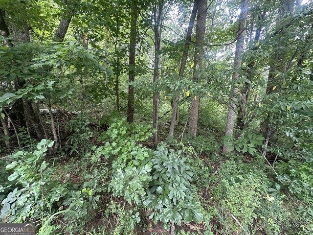 5281 N Forest Blvd, Gainesville, GA 30506