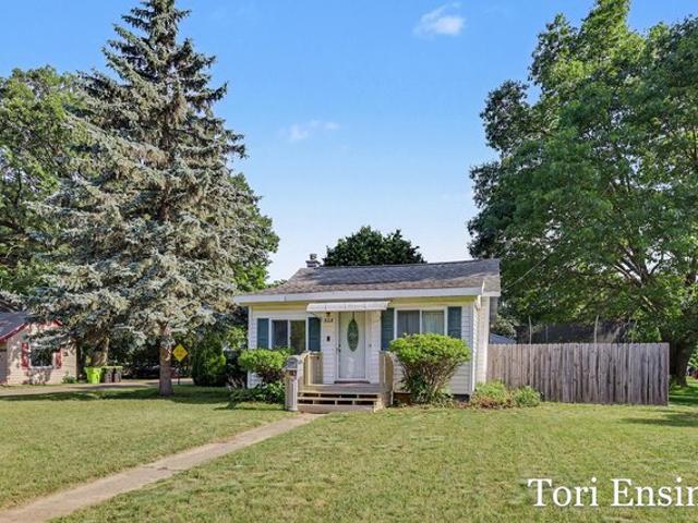 528 W Montcalm St, Greenville, MI 48838