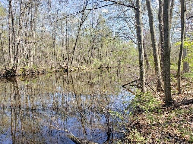 5295 N Watervliet Rd, Watervliet, MI 49098