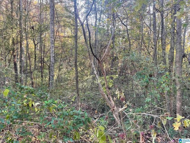 529 Foxfire Drive # 8