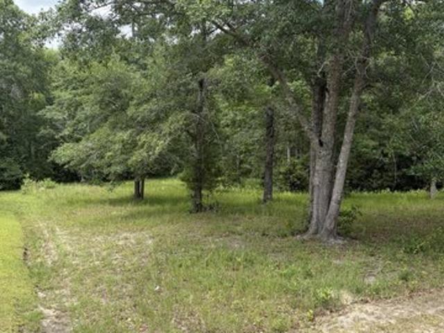 529 N Wild Rice Dr SW Lot 75A, Supply, NC 28462